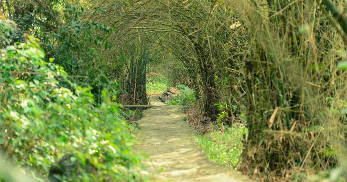 Ninh Binh Full Day Tour: Bai Dinh Pagoda - Galaxy Grotto